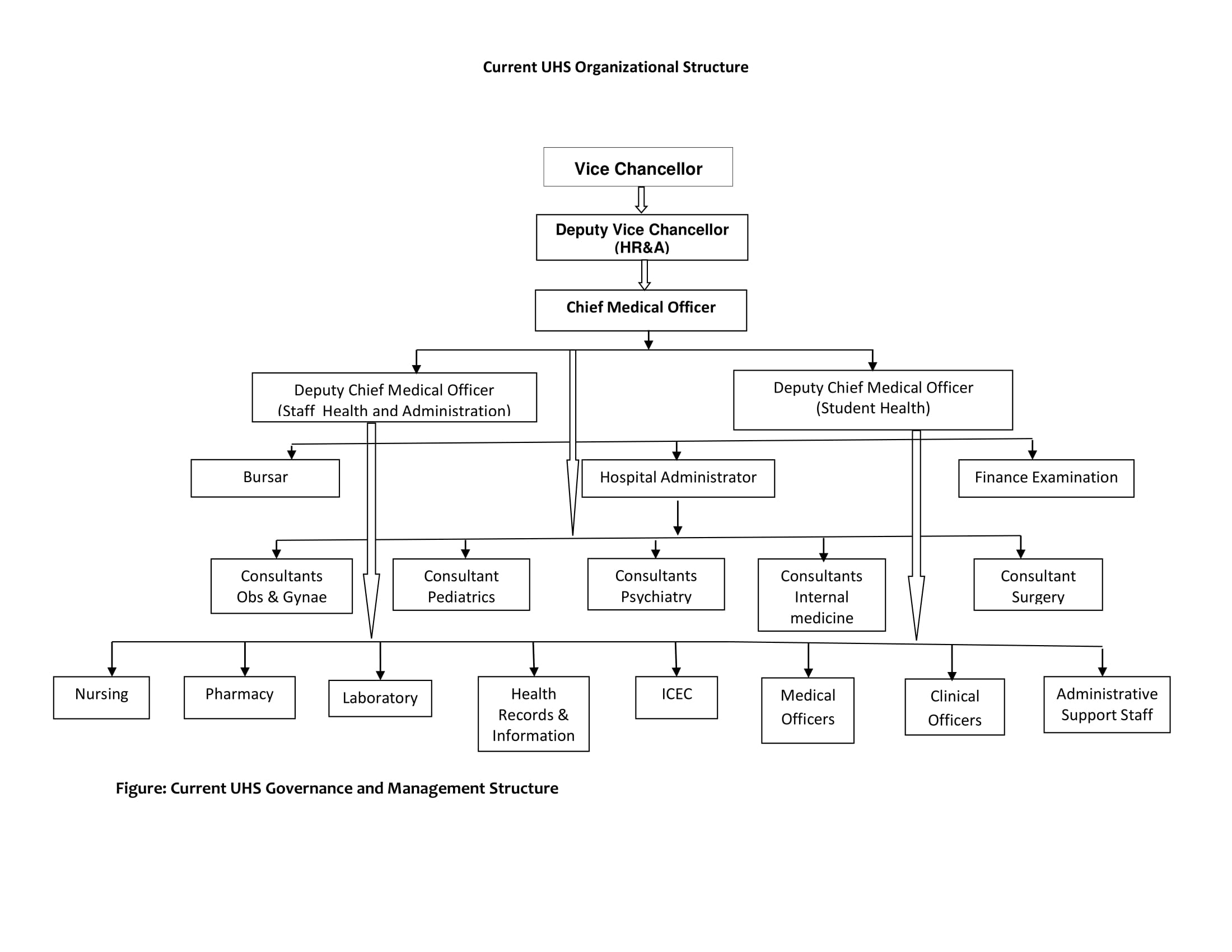UHS Organogram | University Health Services